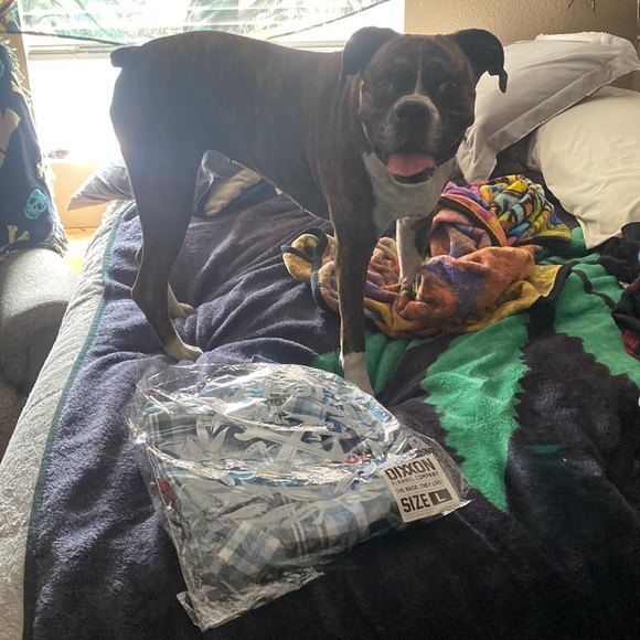 Shirts | Dixxon They Live Roddy Piper John Nada Flannel | Poshmark